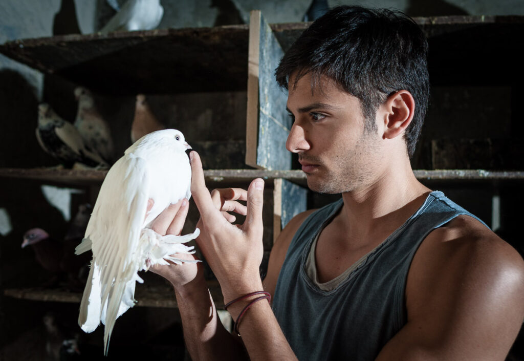 Cineforum – The Dove Flyer (Nissim Dayan, 2013) - Taalhuis Amsterdam